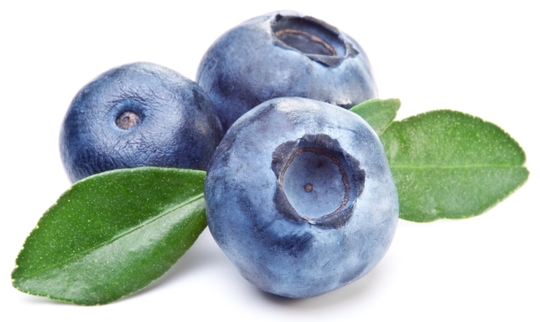 Blueberry: Nature's Beauty Food - BlackDoctor.org - Where Wellness ...