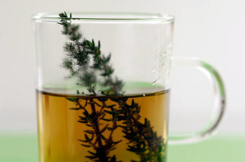 Thyme Tea Benefits: Here are Amazing Benefits of Thyme Tea