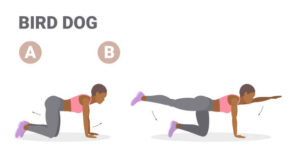 The 5 Best Exercises for Lower Back Pain, According to a Personal Trainer